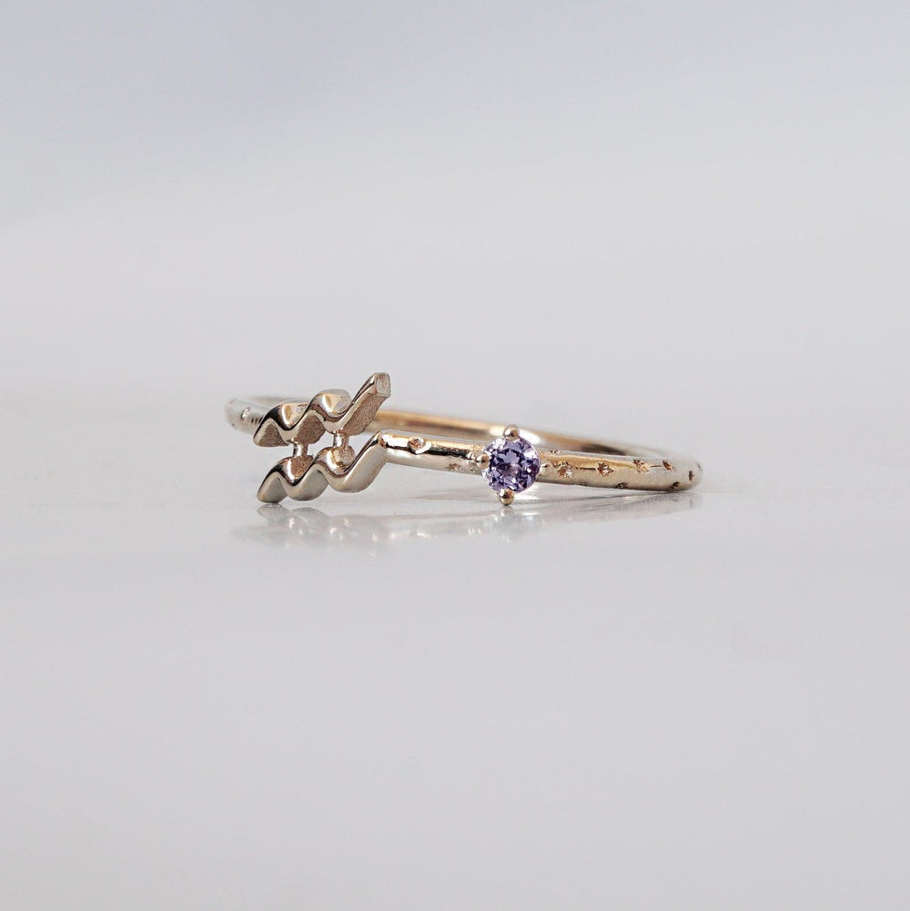 14K Aquarius Horoscope Birthstone Ring (Amethyst + Garnet) – Tippy ...